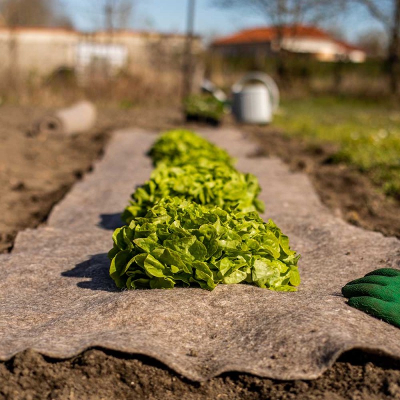 Rouleau de paillage en fibres naturelles - 80cm x 5 ou 50m - Produit ...