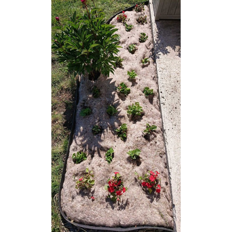 Rouleau de paillage en fibres naturelles - 80cm x 5 ou 50m - Produit ...